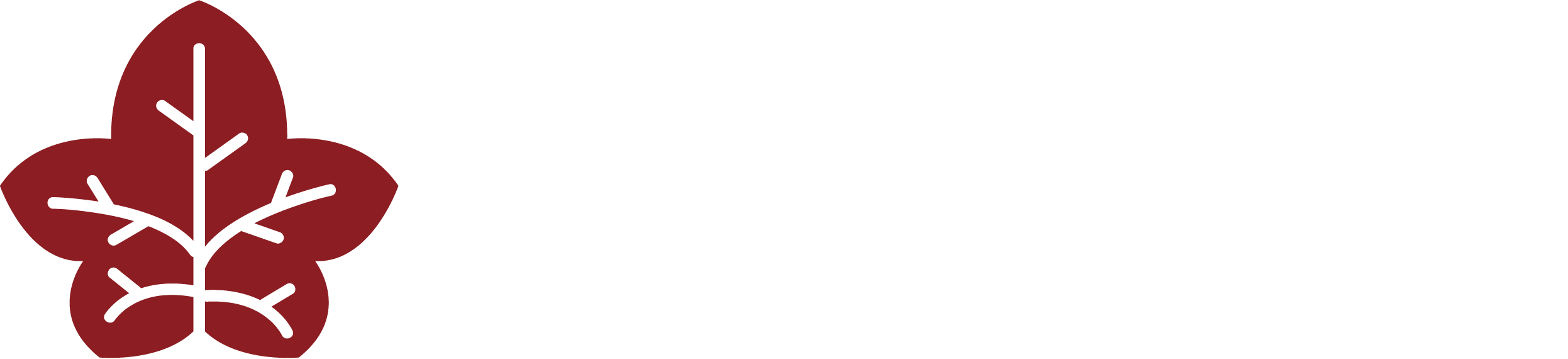 The 2nd International Workshop on Engineering Physics (IWEP 2024)